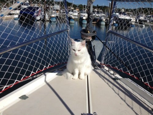 Netting - Lifeline Medium / Heavy Duty Stowage Net – Boat NZ