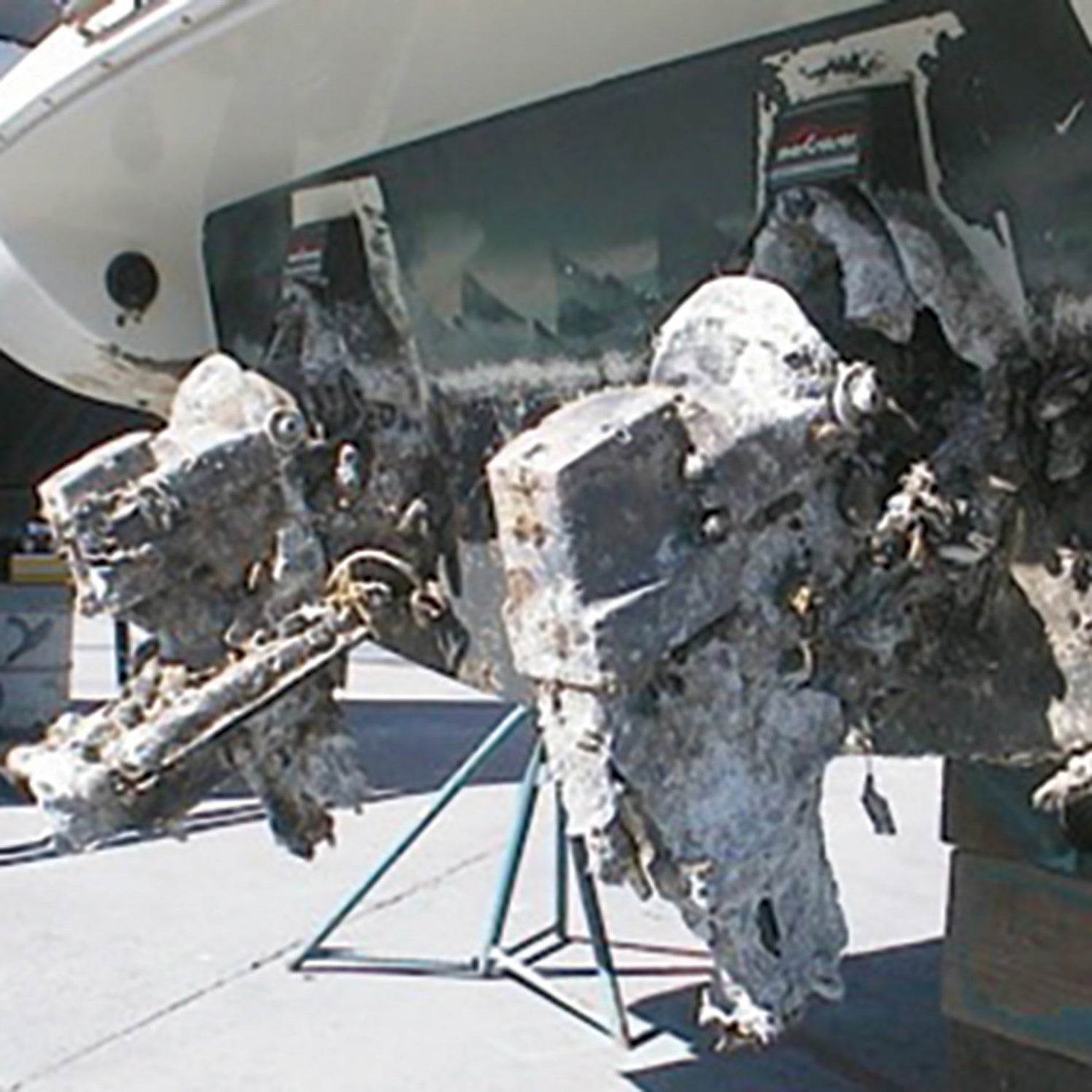 ProSafe Galvanic Isolator - FAILSAFE 30A – Boat NZ